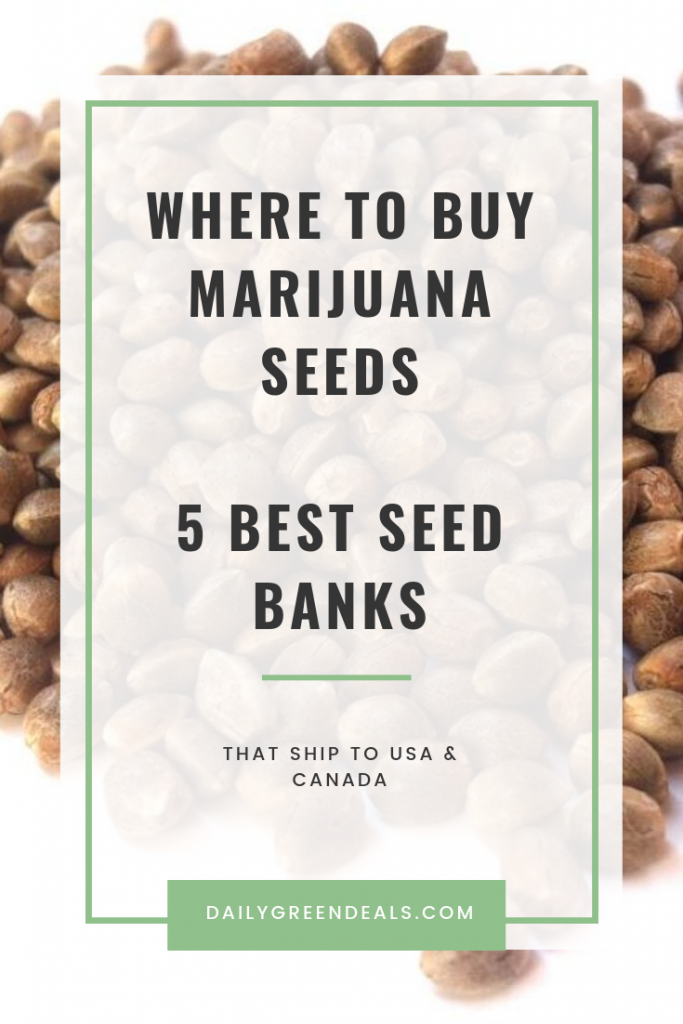 Where To Buy Marijuana Seeds - 5 Best Seed Banks That Ship To USA ...